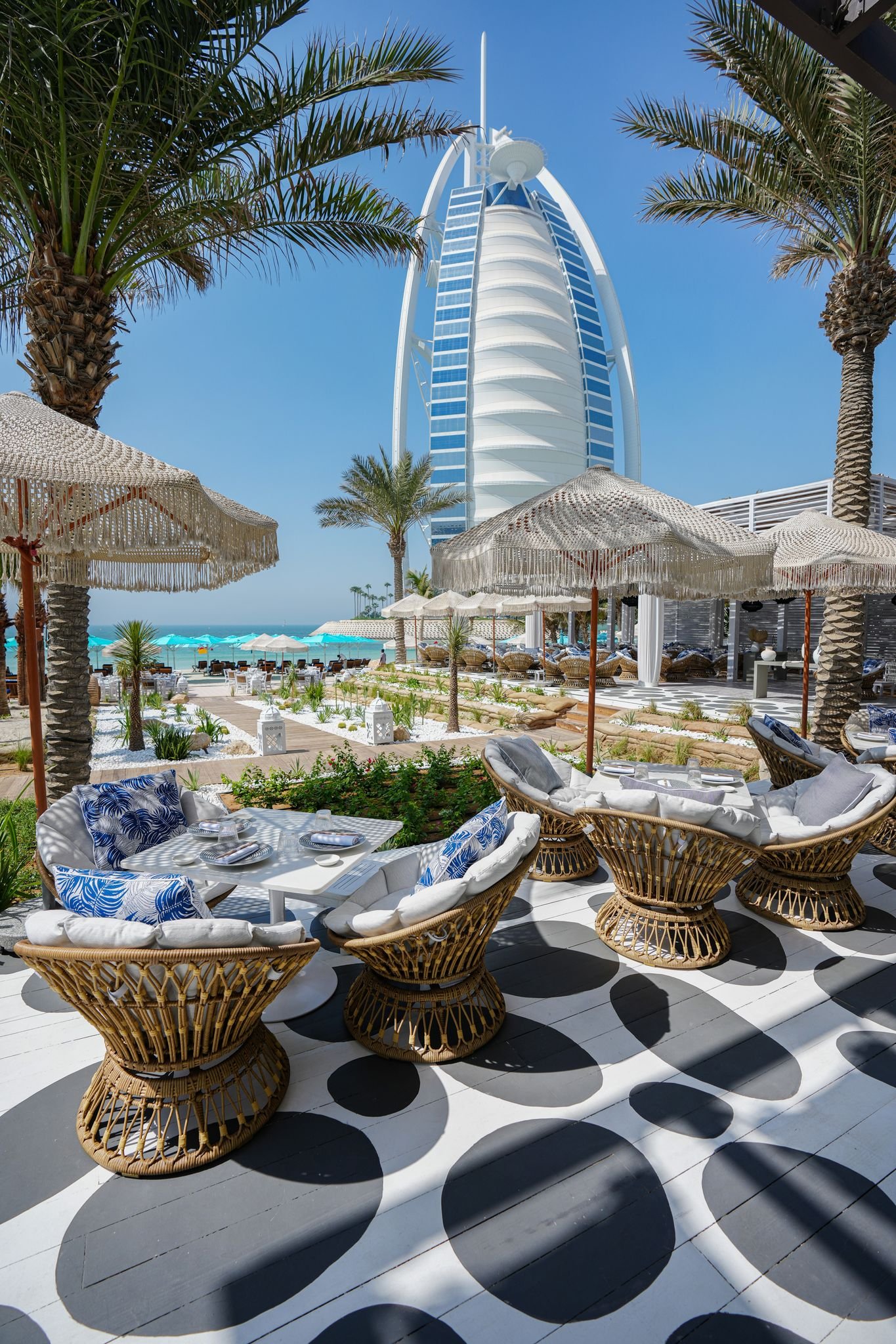 Chase Away the Blues Now With Summersalt Beach Club! - ICONIC Episode