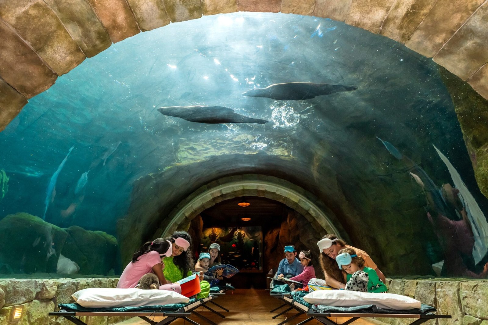 Night at the (Underwater) Museum? SeaWorld Abu Dhabi Now Just Made It ...